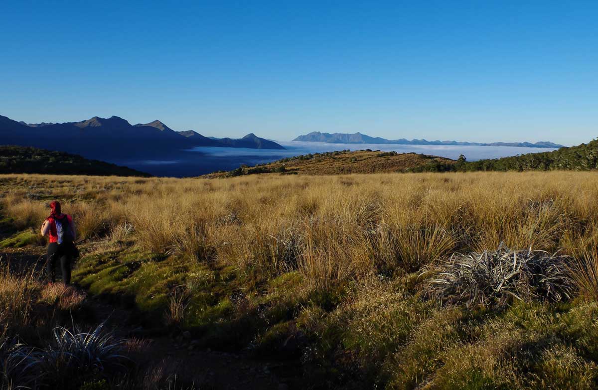 Tableland Circuit: Walking and tramping in Kahurangi National Park