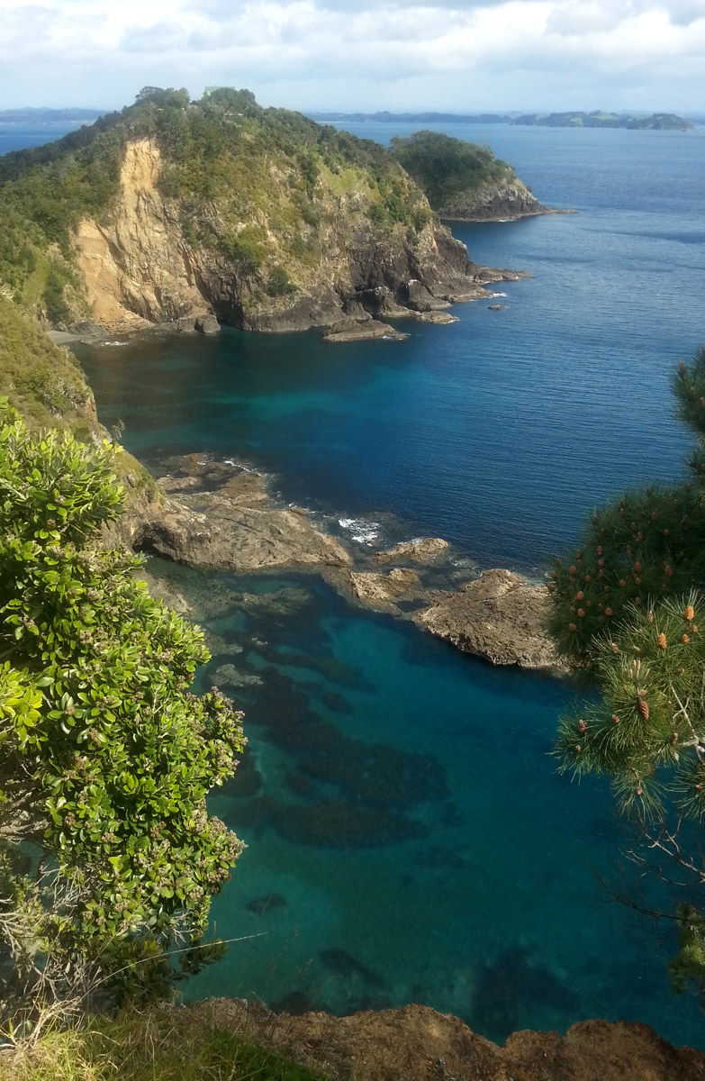 Motuarohia (Roberton) Island Track: Motuarohia/Roberton Island, Northland
