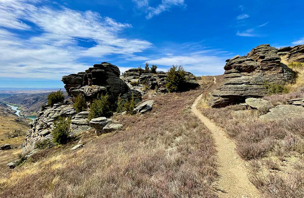 Basin View Tramping Track: Flat Top Hill Conservation Area