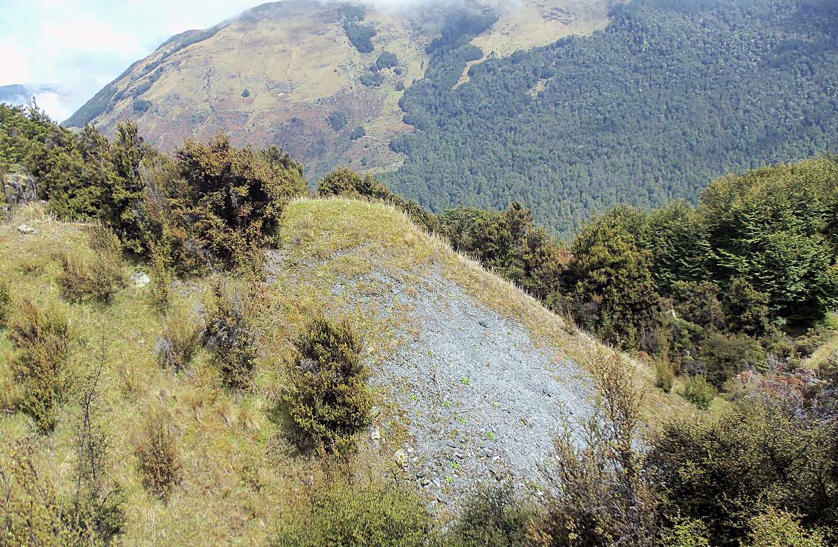 Invincible Mine Track: Glenorchy area, Otago region