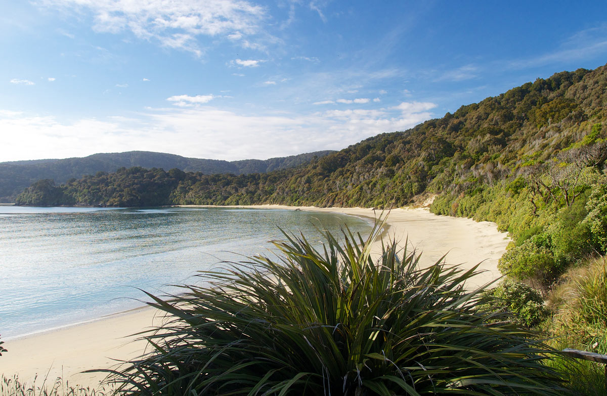 Bungaree Hut: Rakiura National Park: Southland region