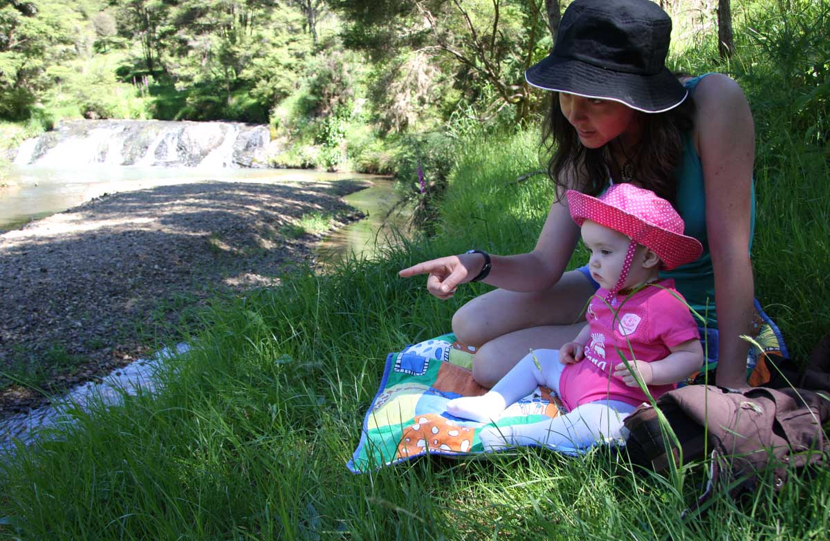Karakariki Track: Karakariki Scenic Reserve, Waikato region