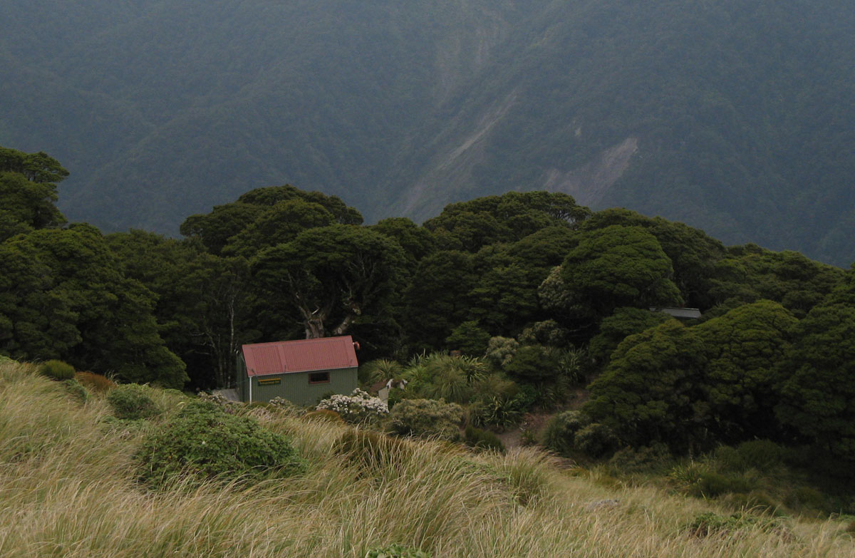 Aokaparangi Hut: Tararua Forest Park, Kapiti region