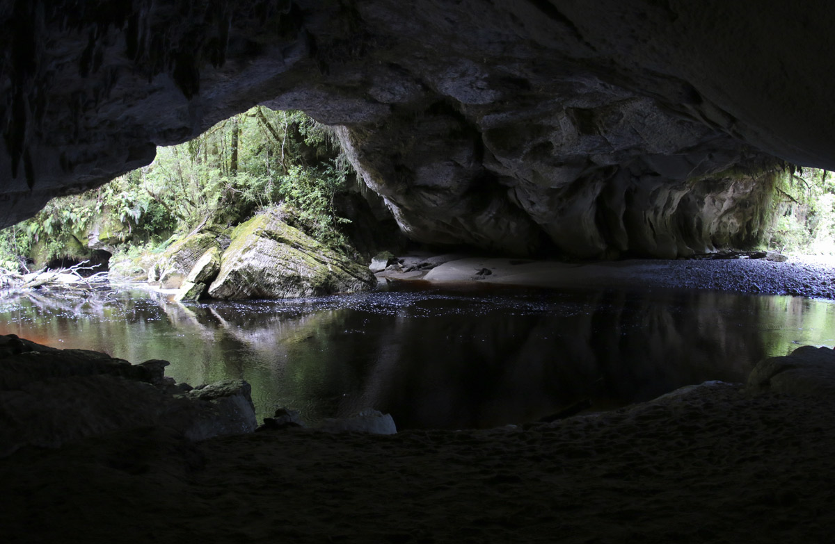Oparara Basin walking tracks: Kahurangi National Park, West Coast region
