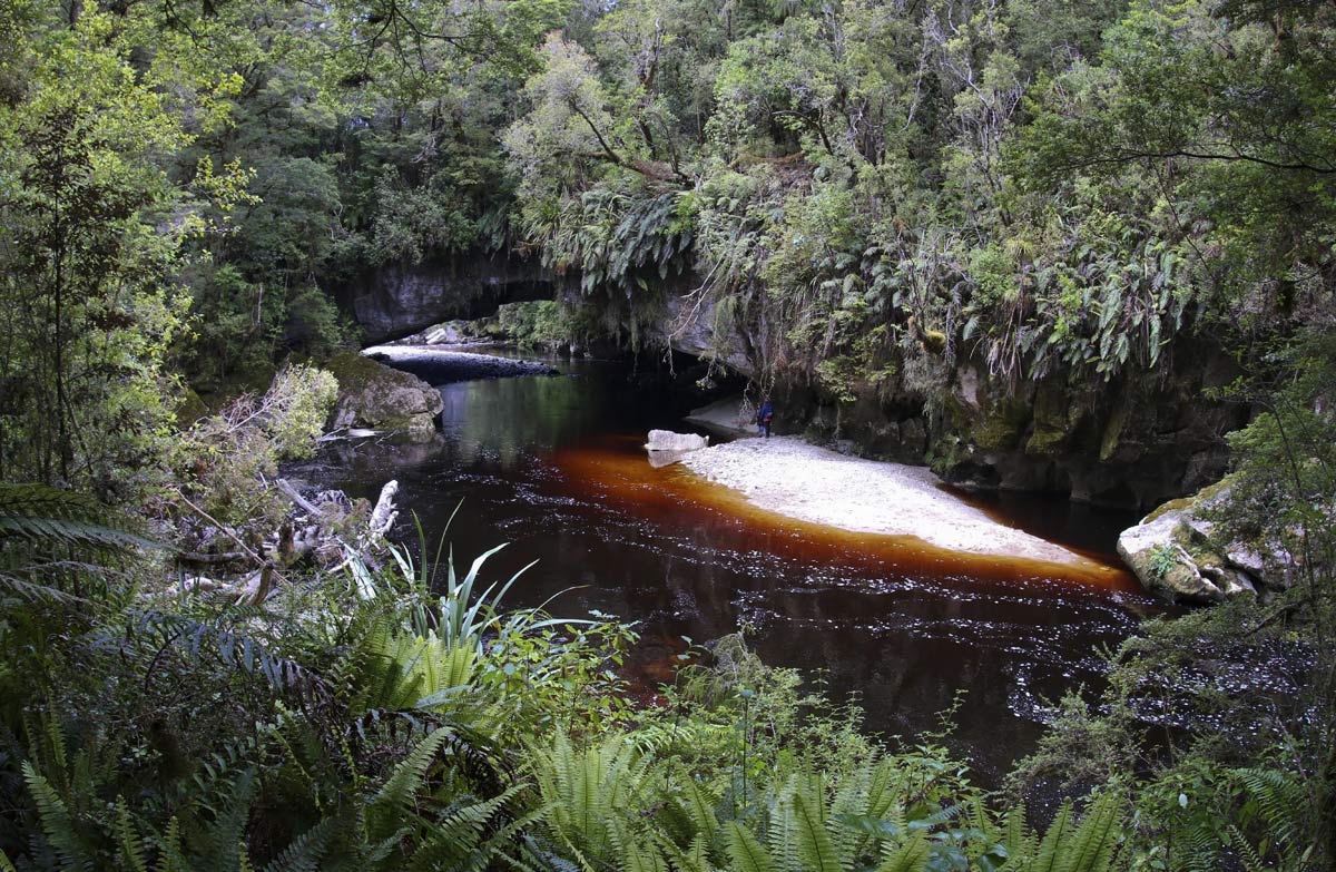 Oparara Basin walking tracks: Kahurangi National Park, West Coast region