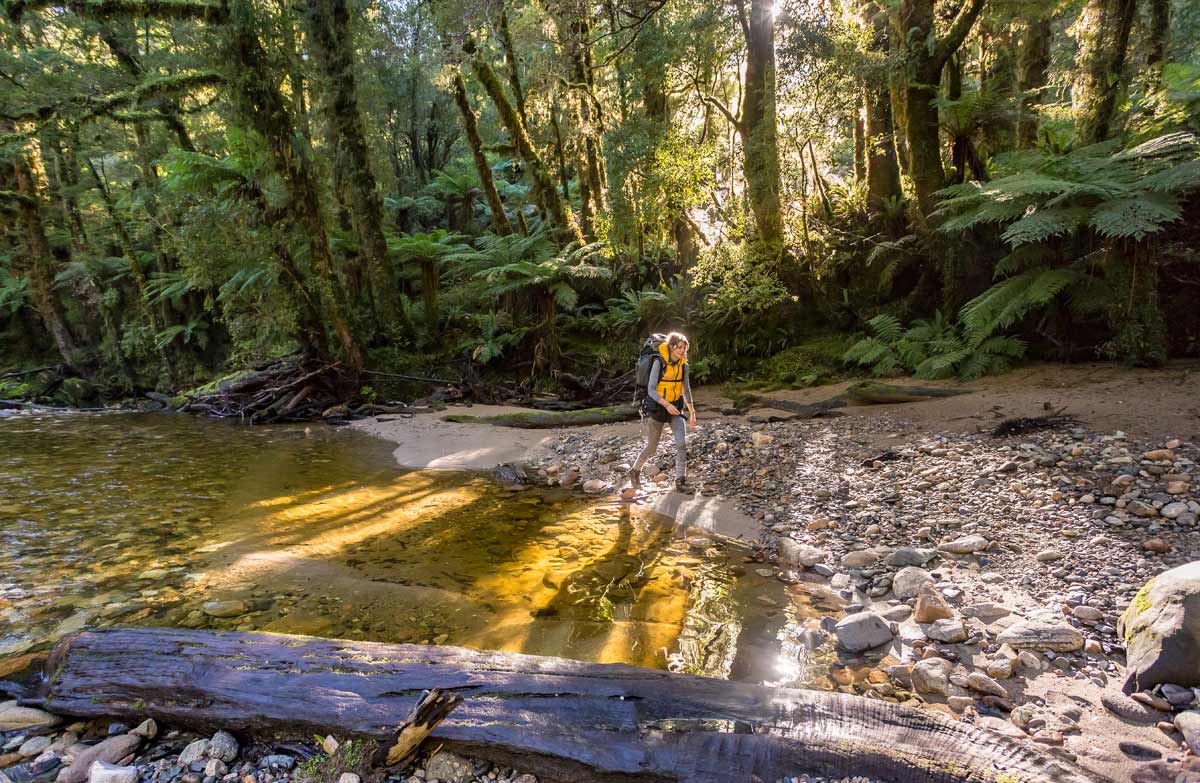 Paparoa Track and Pike29 Memorial Track: Paparoa National Park, West Coast