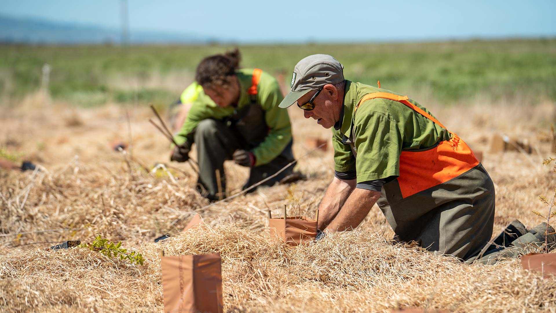 Projects funded by Jobs for Nature