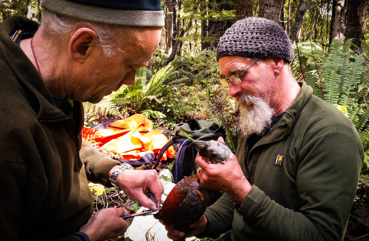 Eglinton valley: Our work