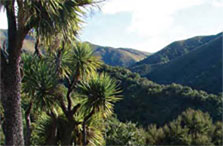 Geraldine area: Places to go in Canterbury