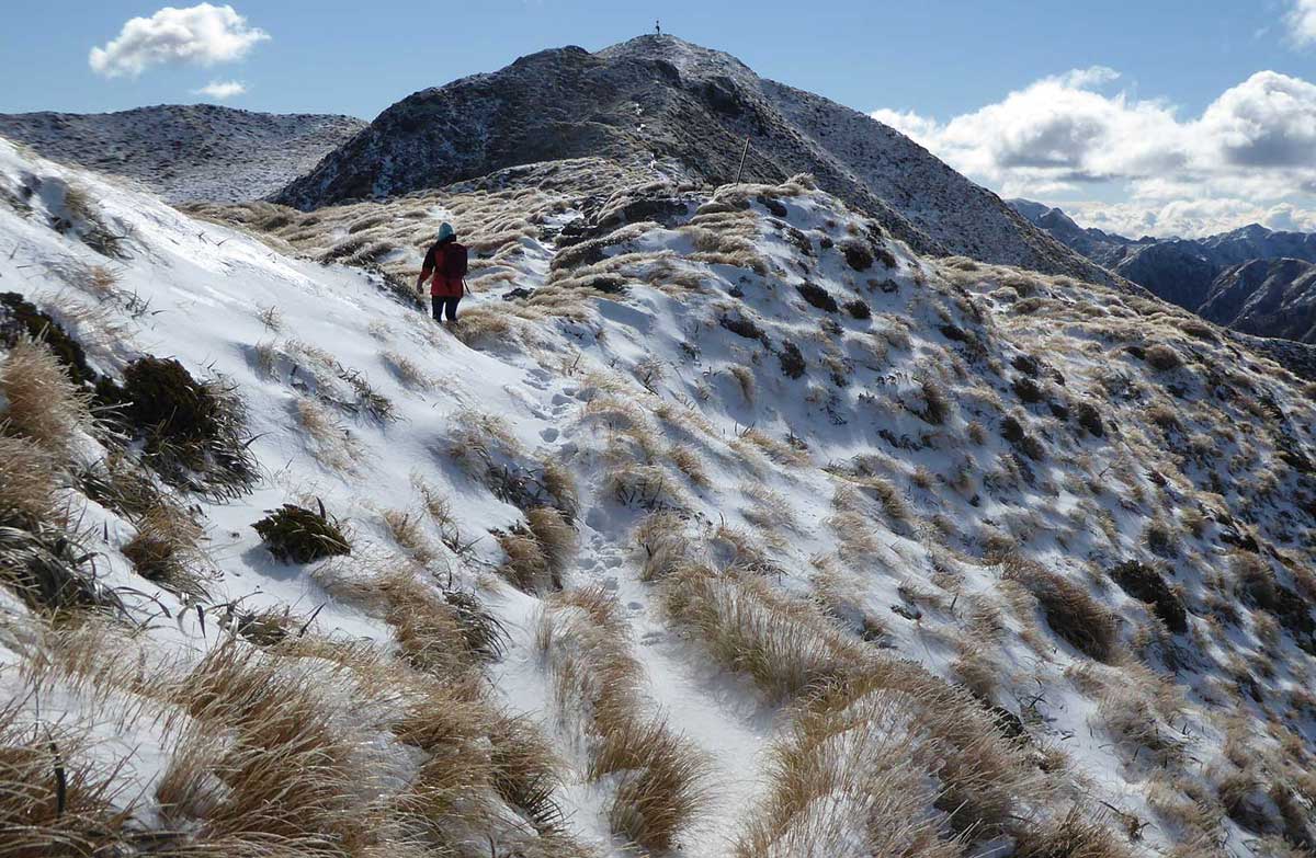 Tararua Middle Crossing: Tararua Forest Park, Kapiti region