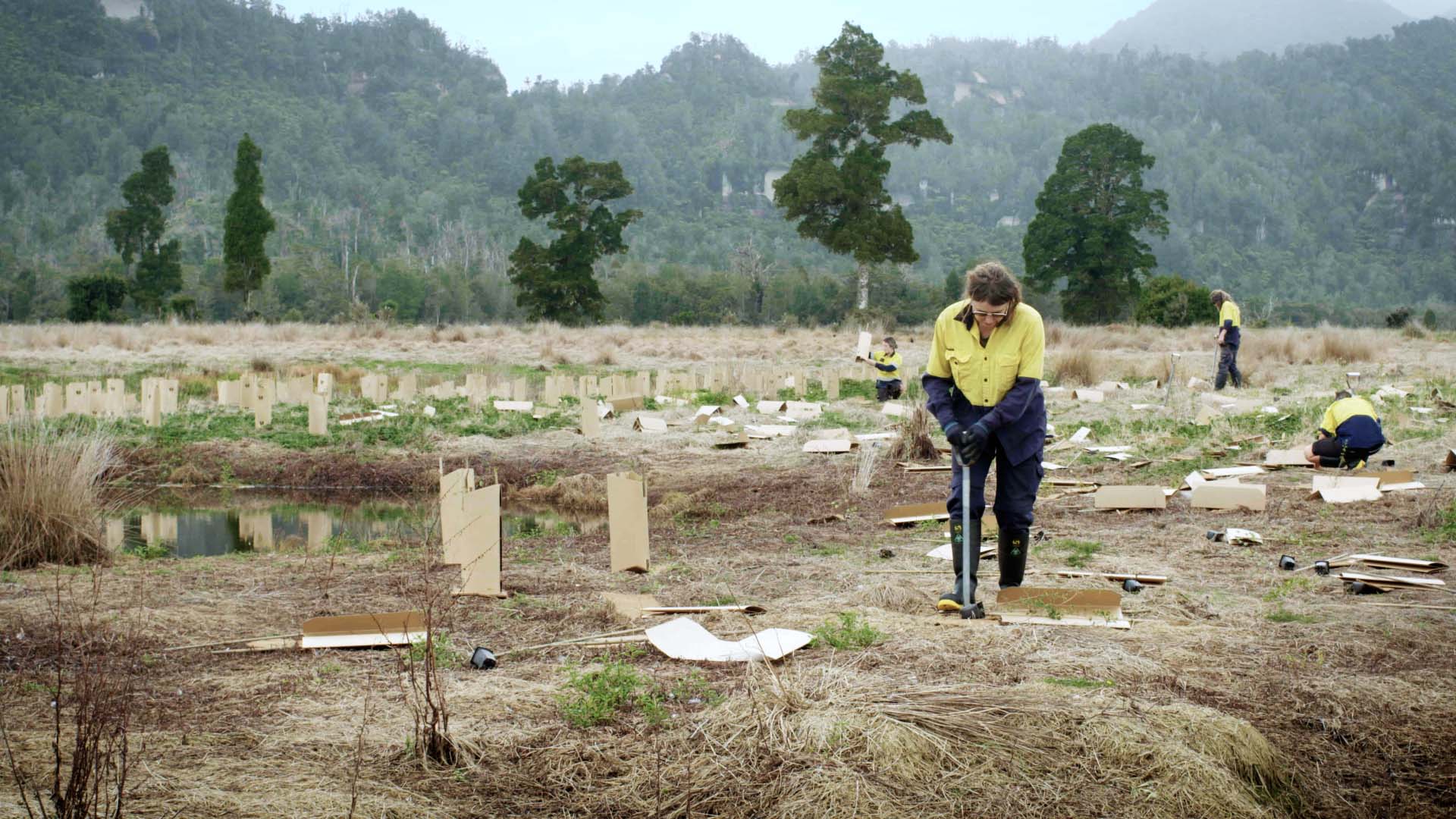 Support to grow local conservation skills: 2022 media releases