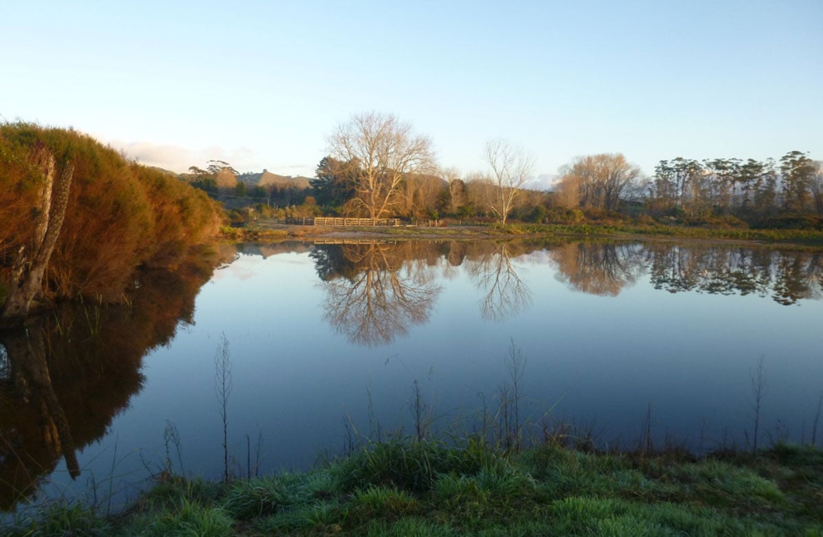 Freshwater monitoring and reporting