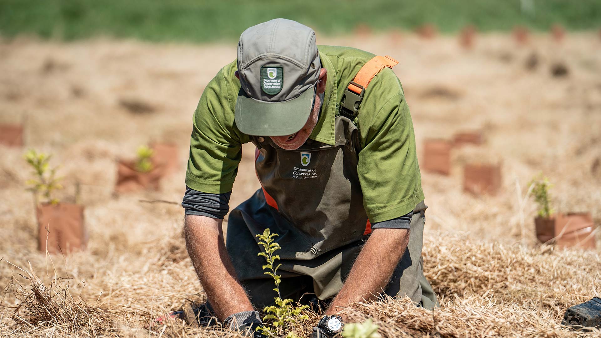 Media releases about Jobs for Nature projects: Jobs for Nature