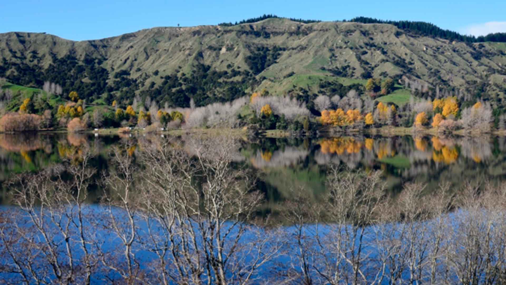 Waikōpiro Loop Track: Tutira area