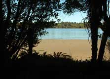 Pounawea nature walks: Catlins coastal area, Otago region