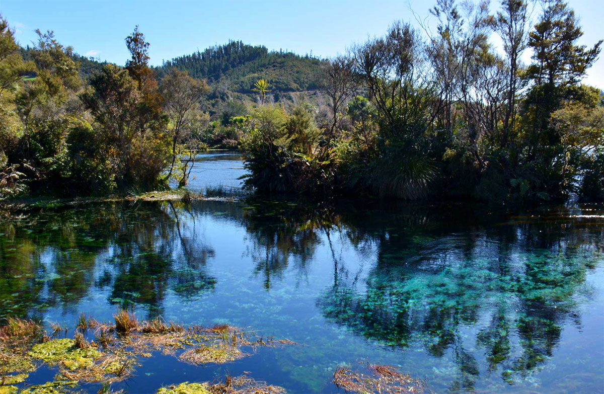 Evidence on Te Waikoropupū springs and associated water bodies ...