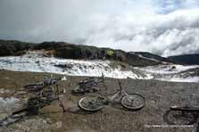 Takapari Road: Manawatu tracks & walks
