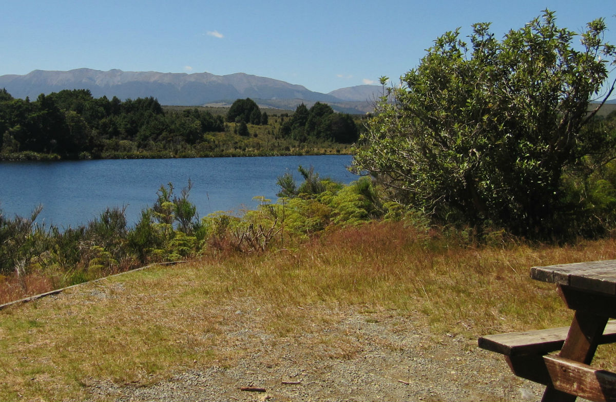 Lake Mistletoe Track: Fiordland National Park, Fiordland region