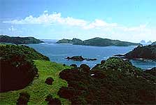 Moturua Island Track: Moturua Island Scenic Reserve, Northland