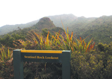 Sentinel Rock Lookout Track: Kaimai Mamaku Conservation Park, Bay of ...