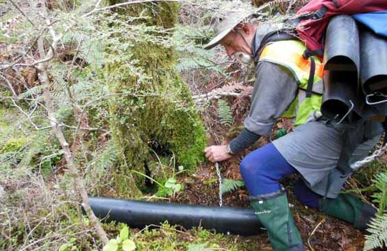 Where to put tracking tunnels and lines: Predator Free 2050 (PF2050)