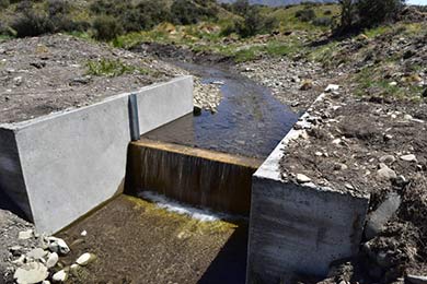 Barriers to protect native species and habitats: Fish passage management