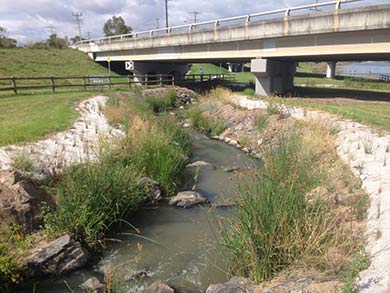 Fixing barriers to fish passage: Fish passage management