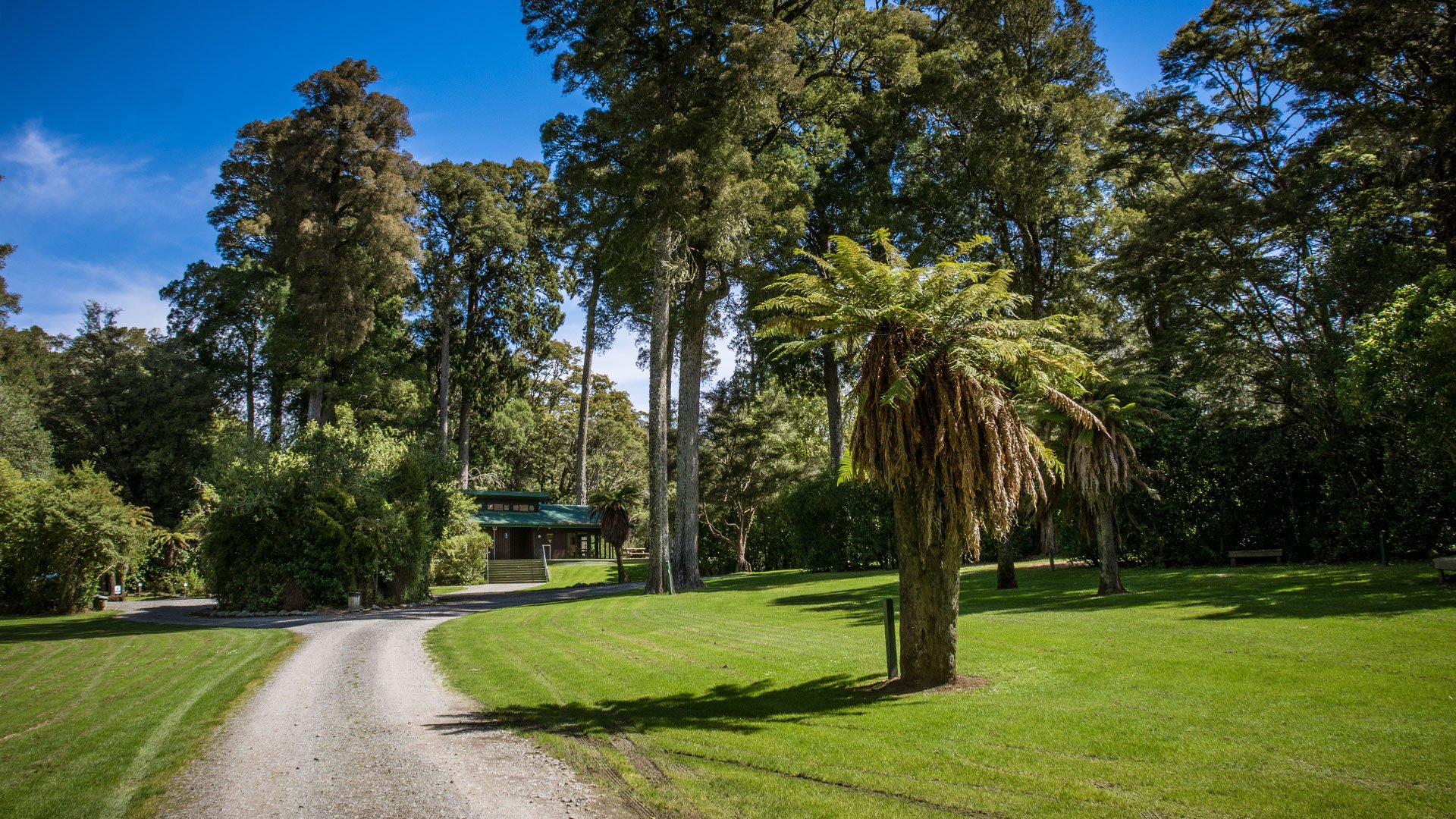 Pelorus Bridge campground and café tender opportunity: Have your say