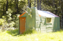 Ant Stream Hut: Lochinvar Forest Conservation Area, Canterbury region
