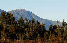 Mount French Track: Lake Brunner area, West Coast region