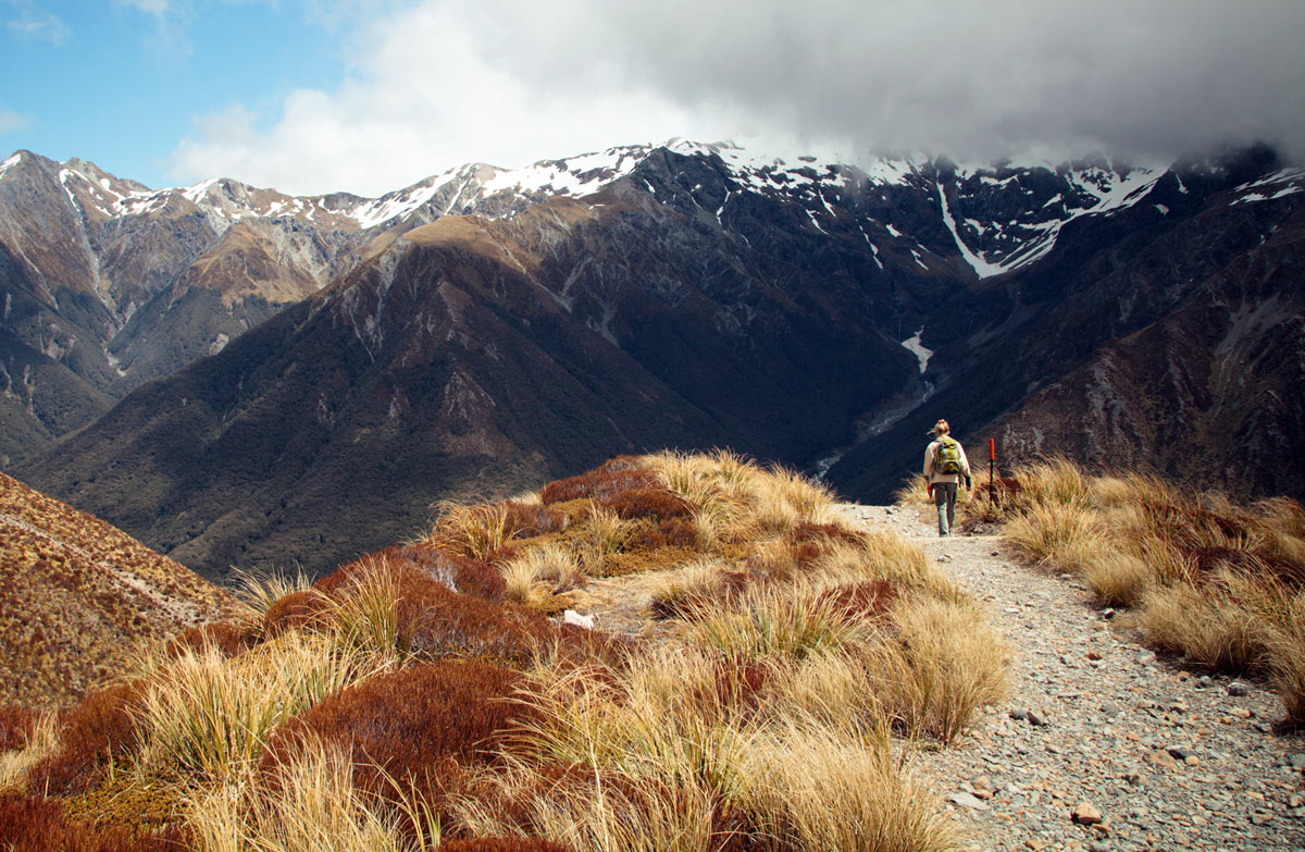 National park management policy and plans: Policies and plans