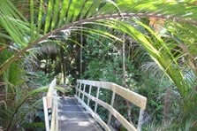 Ridge Track: Gisborne walks and tracks