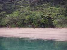 Ferndale Campsite: Pelorus & Kenepuru Sounds area, Marlborough region