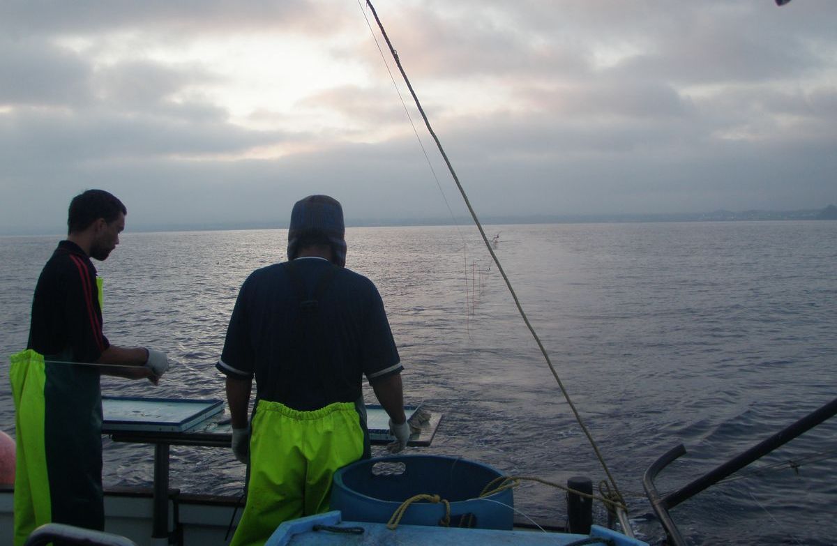 Resources for longline fisheries: CSP