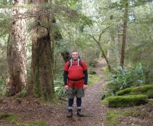Kepler Track: Carpark to Rainbow Reach: Fiordland National Park ...