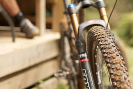 Hatupatu Trail: Whakarewarewa State Forest Park, Bay of Plenty region