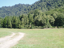 Te Pakau (Eight Acre) conservation campsite: Te Urewera, East Coast region