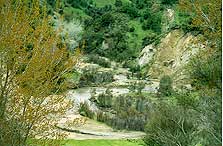 Pohangina Valley area: Places to go in Manawatu/Whanganui