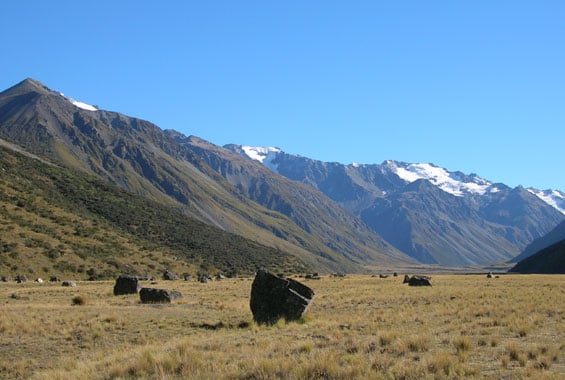 Macaulay Hut Track: Walking and tramping in Te Kahui Kaupeka ...