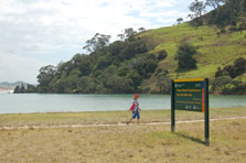 Pataua Island Recreation Reserve: Places to go in Northland