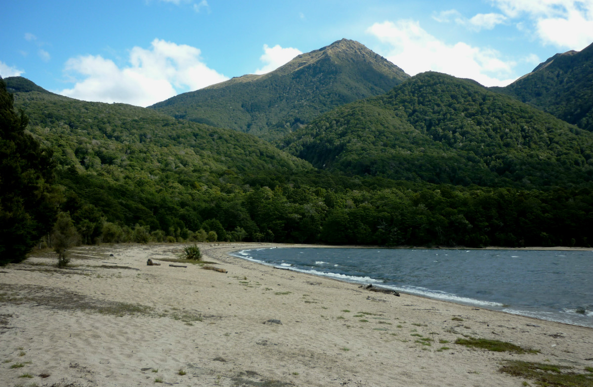 Pearl Harbour to Hope Arm Track: Fiordland National Park, Fiordland region