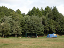 Piropiro conservation campsite: Pureora Forest Park, Waikato region