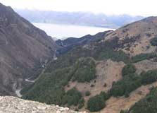 Hāwea Conservation Park hunting: Where to hunt in the Otago region