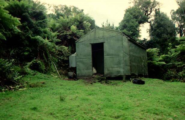 Puteore Hut: Waitotara Conservation Area, Whanganui region
