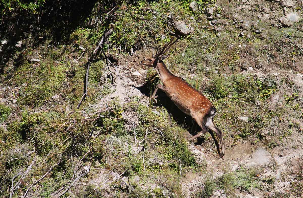 Sika Foundation turns sights onto ecological restoration: 2022 media ...