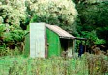 Te Totara Hut: Te Urewera, East Coast region