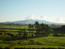 Pirongia Forest Park and surrounds hunting: Where to hunt in the ...