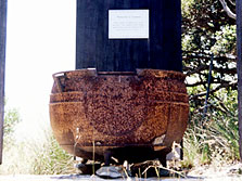 Sealing and whaling: New Zealand historic heritage topics