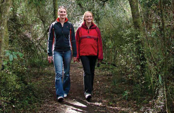 Talbot Forest Scenic Reserve tracks: Geraldine area, Canterbury region