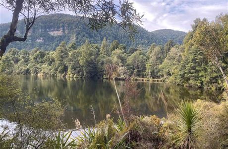 Colenso Hut: Ruahine Forest Park, Manawatu region
